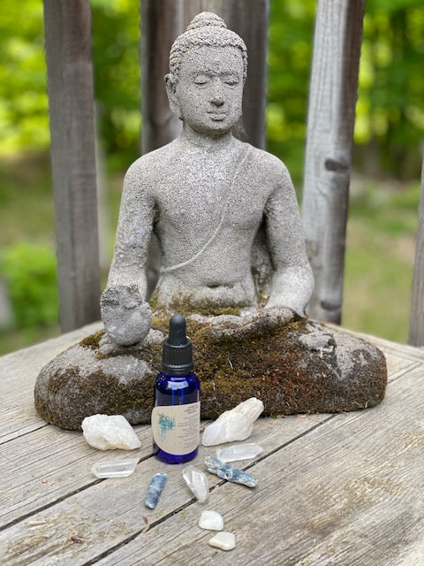 Bridge to Highest & Best Timeline Stone Elixir - zen nomad